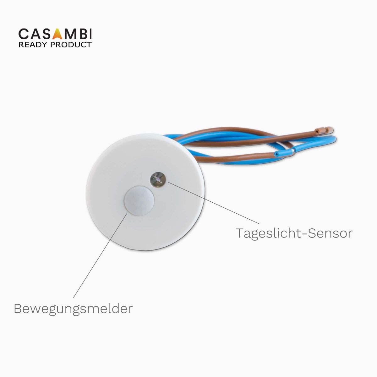 CASAMBI Präsenzmelder mit Tageslichtsensor, 195,00